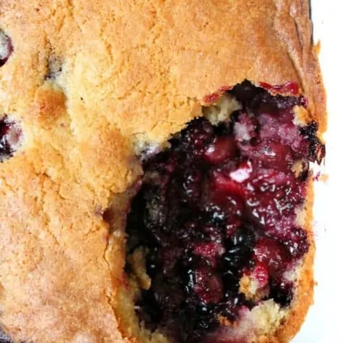 Berry Sponge Pudding - BakingQueen74