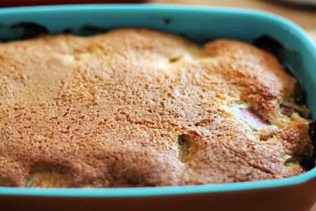Rhubarb Sponge Pudding - BakingQueen74
